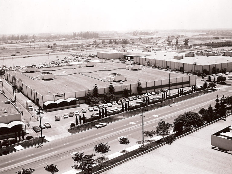 Evolving Econolite - Econolite